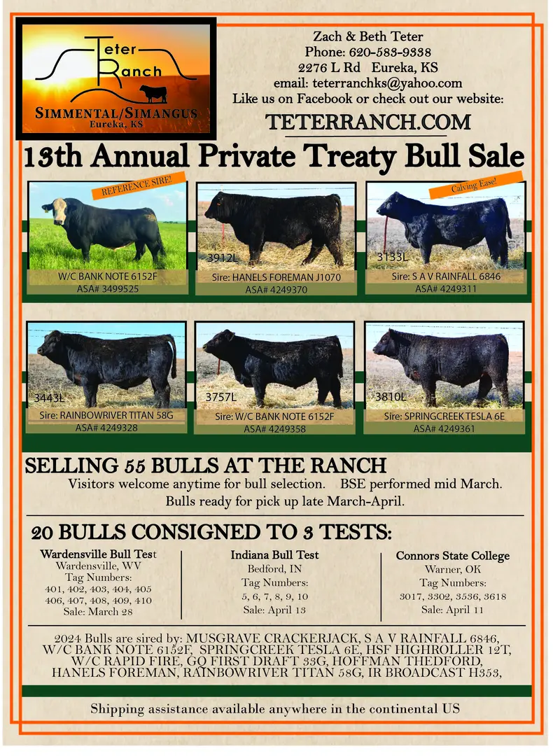 Teter Ranch - Eureka, KS | Raising Simmental/ Simangus cattle