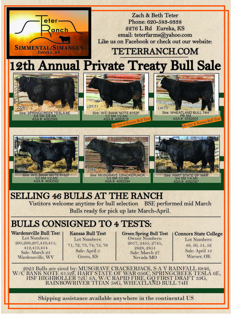 Teter Ranch - Eureka, KS | Raising Simmental/ Simangus cattle